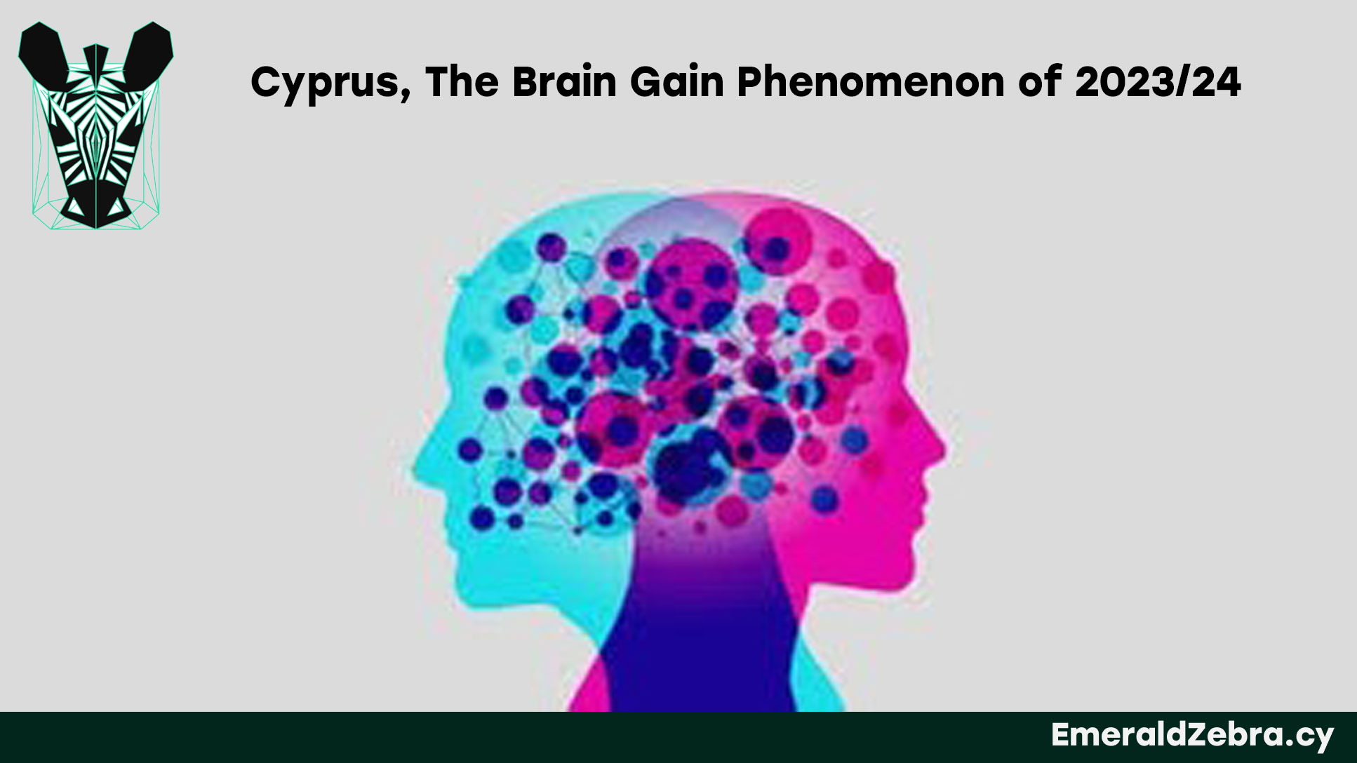Cyprus, The Brain Gain Phenomenon of 2023/24
