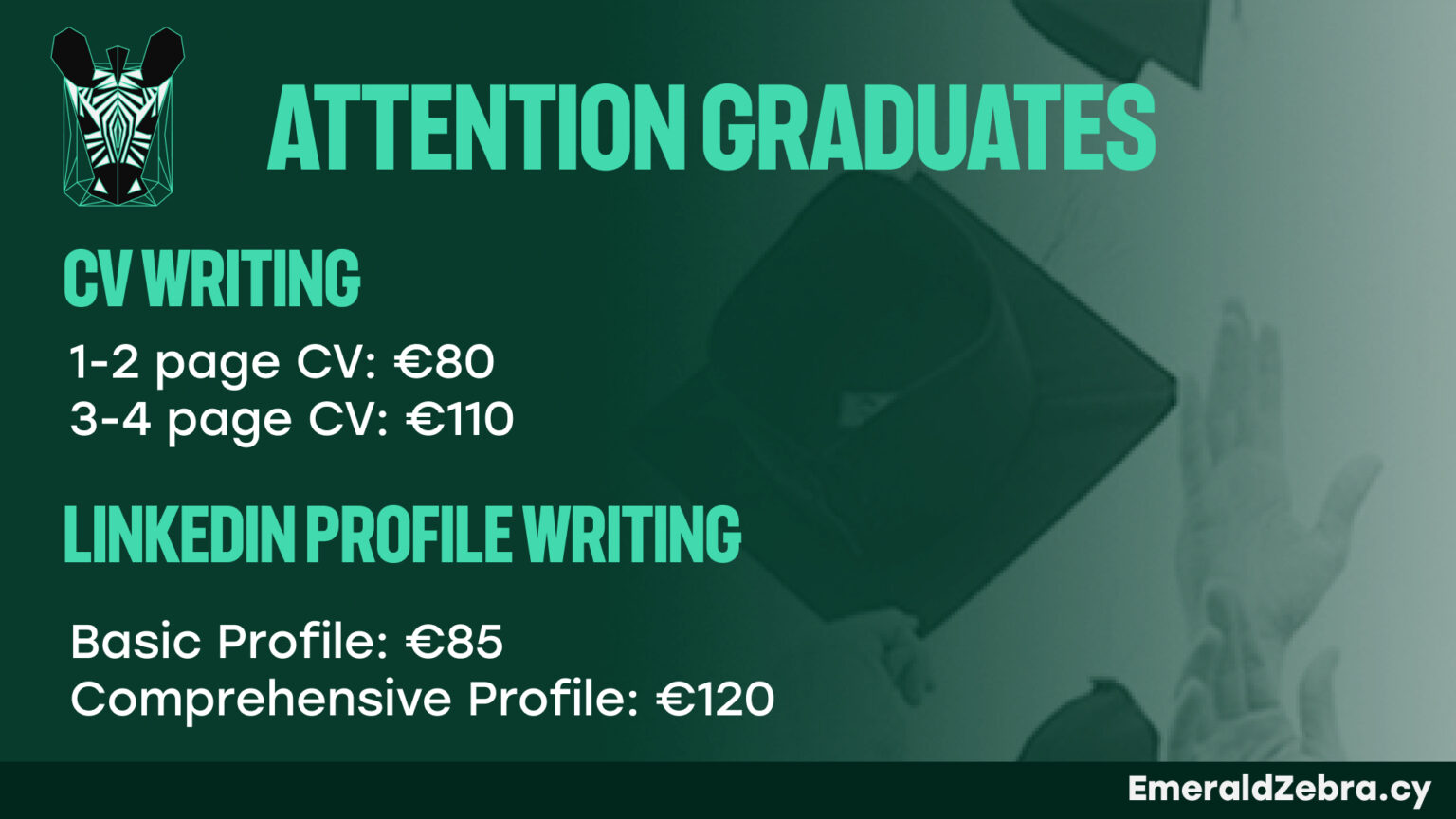 LinkedIn Profile Services & CV Writing Services | Emerald Zebra